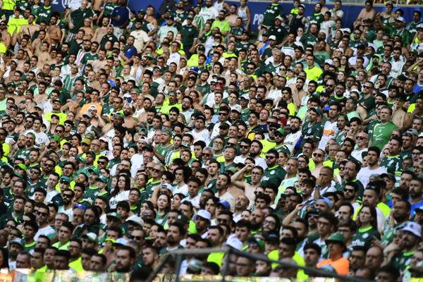 Palmeiras arrecada R 13 milhões após primeiro ano de plataforma