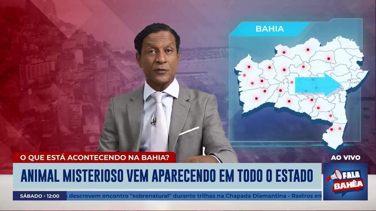 Bahia lança novas camisas para temporada 2025/2026; veja fotos | Ge