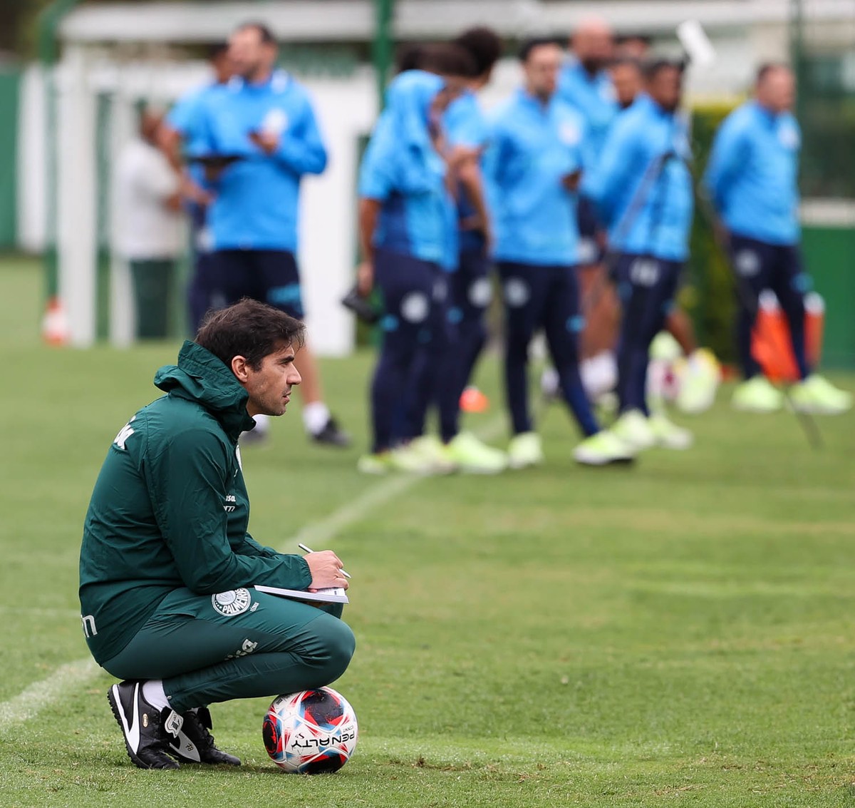 "Zé de 5" e "Menino de 8": entenda as mudanças táticas no Palmeiras ...