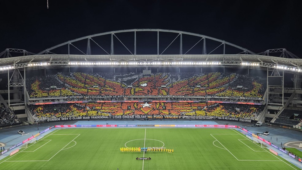 Torcida do Botafogo inova e faz mosaico "dupla face" contra o Palmeiras ...