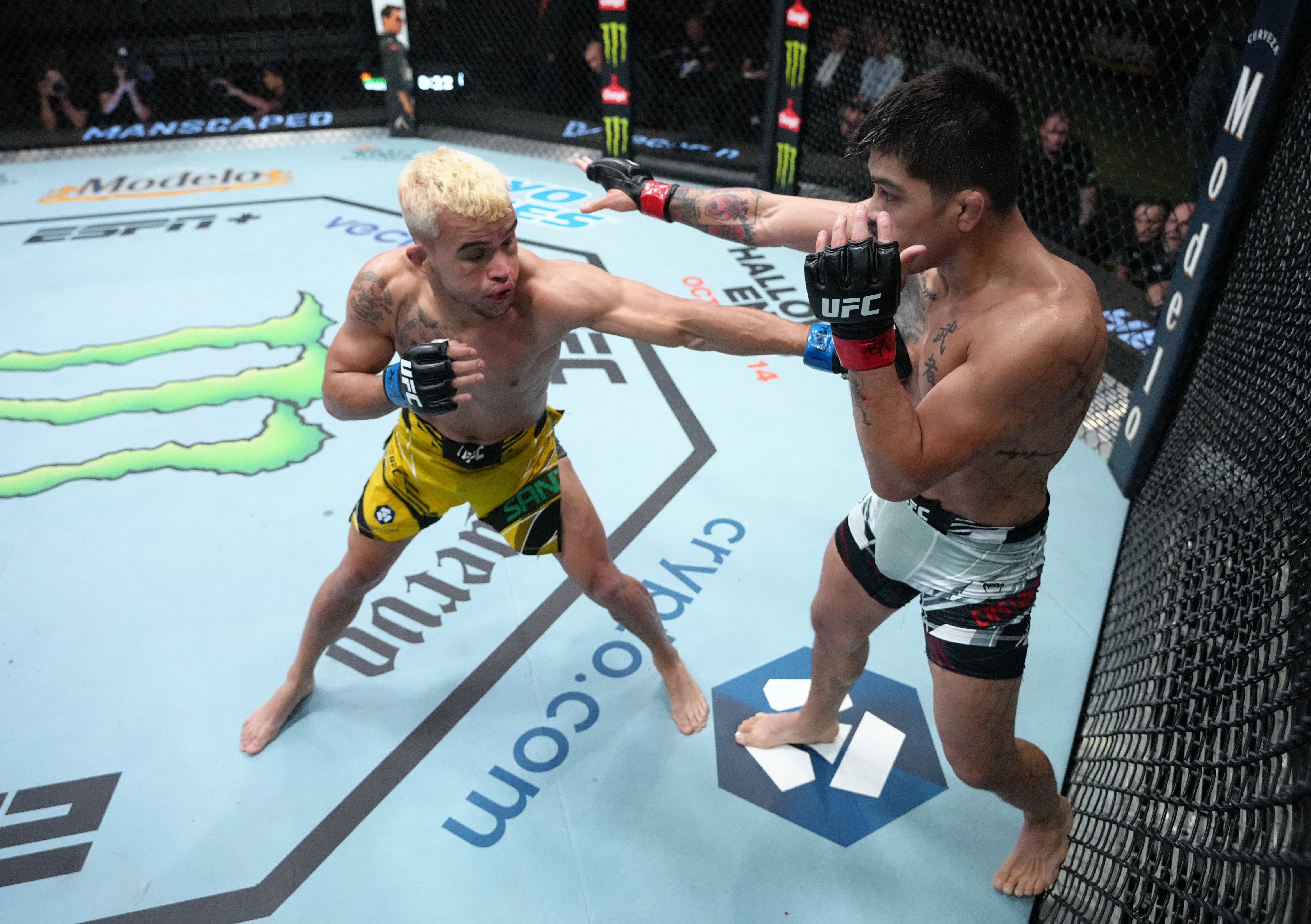UFC: após virada, Willycat diz: "Apanhei o que nunca tinha apanhado" | Ge