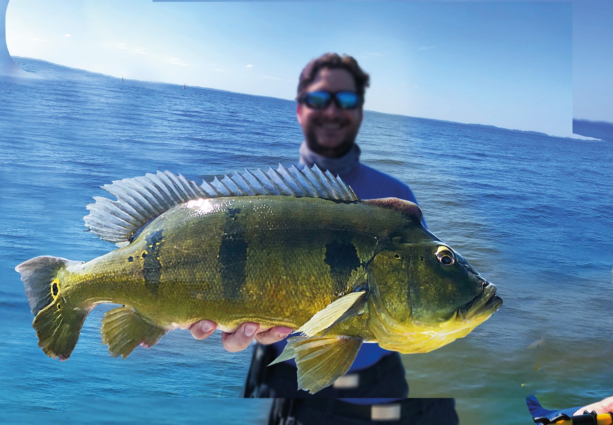 Cidade de Tucuruí vai receber o XII Torneio de Pesca Esportiva da ...