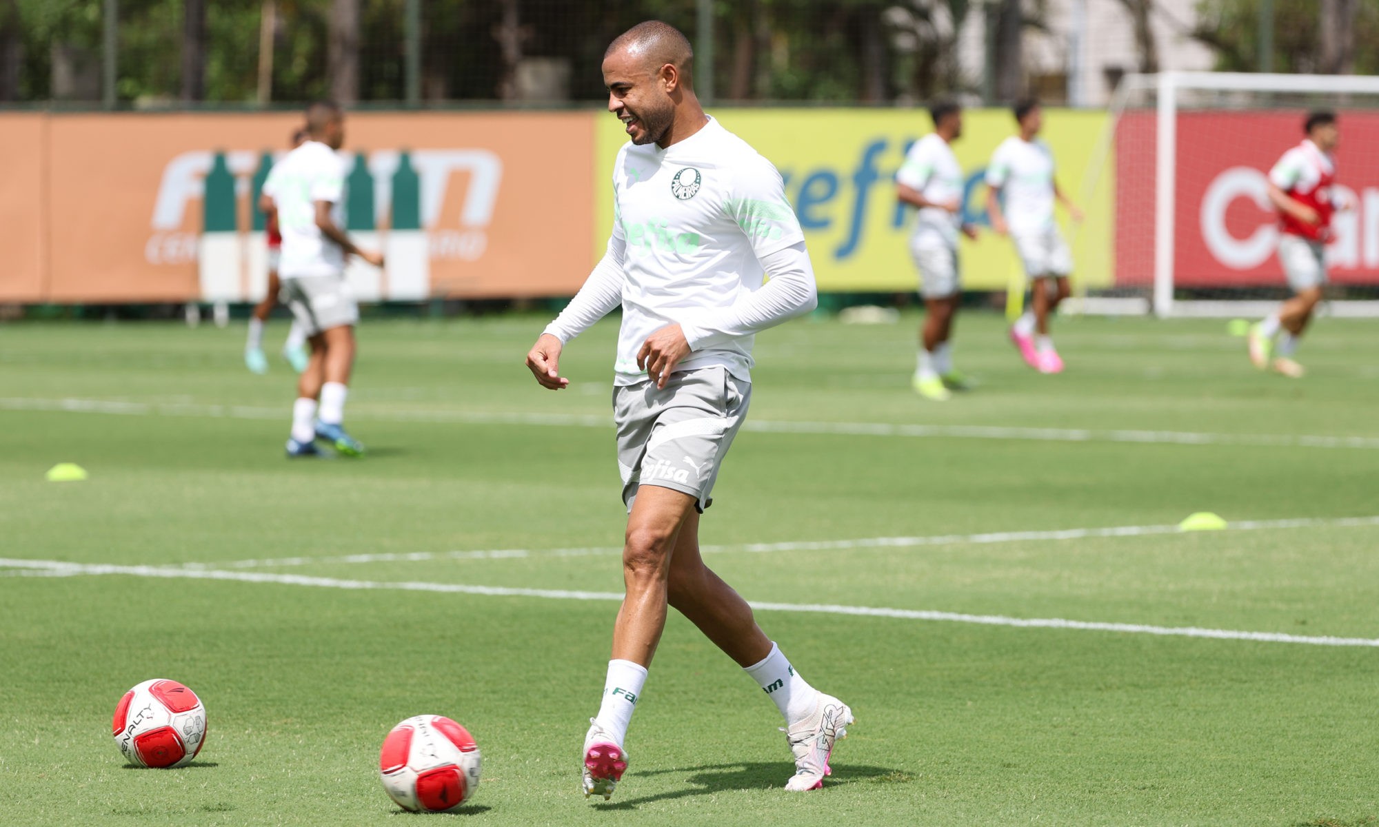 Mayke inicia transição após lesão, e Palmeiras treina para enfrentar a ...