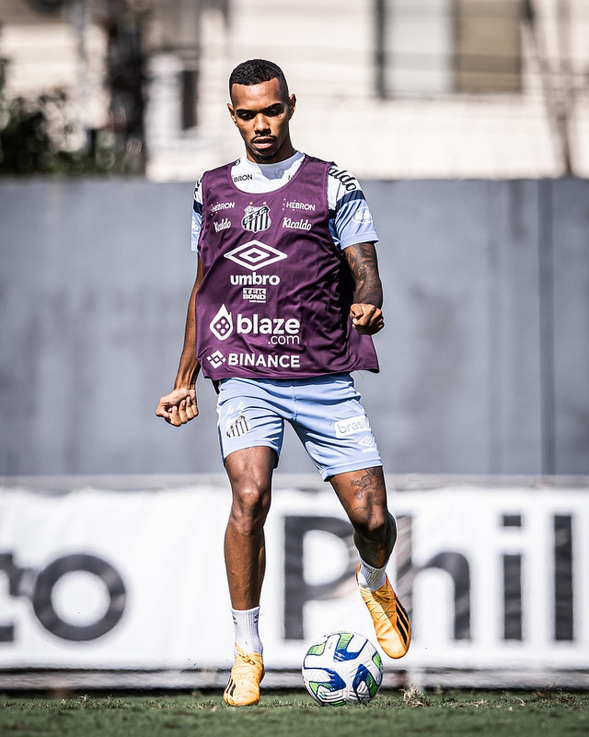 Chegada de Turra reacende disputa por posições no Santos; veja quem ...