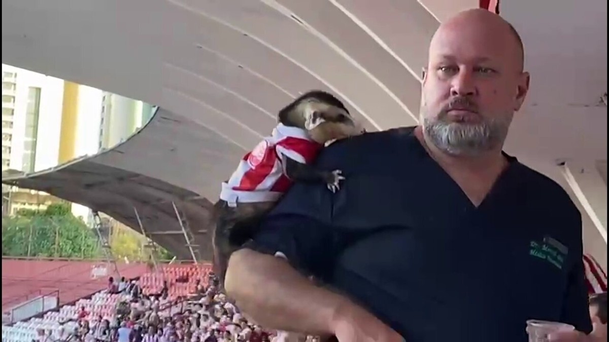 Torcedor leva timbu vestido com camisa do Náutico a jogo nos Aflitos ...