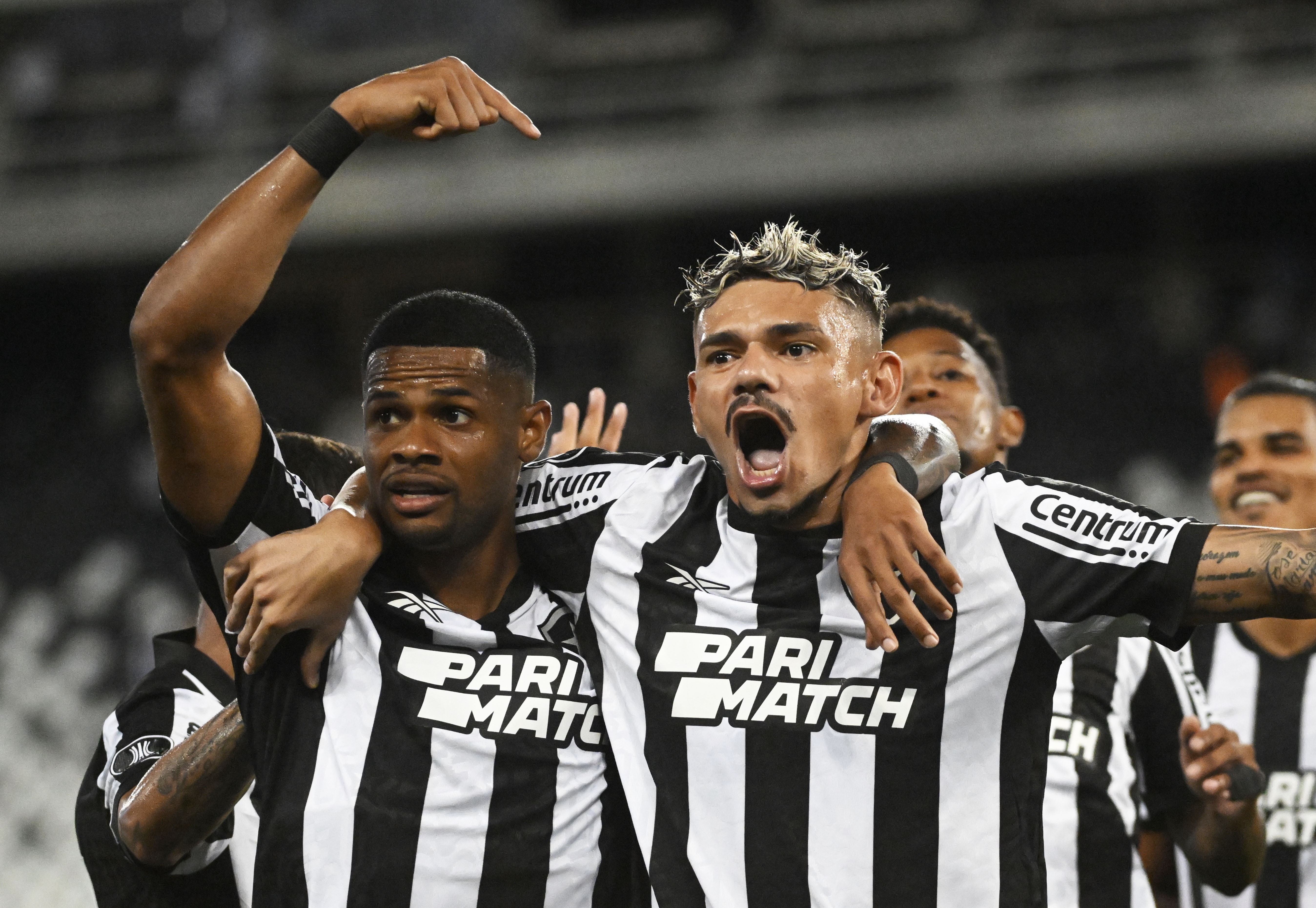 Botafogo estreia no Brasileirão com estreantes, experientes e campeões ...