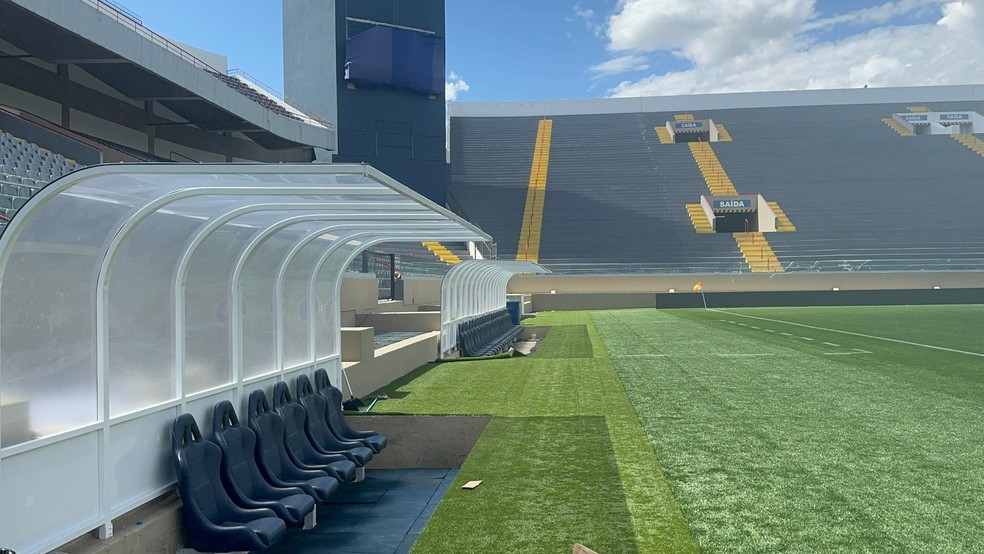 Empresa de Leila Pereira investe R$ 50 milhões para modernizar Arena ...