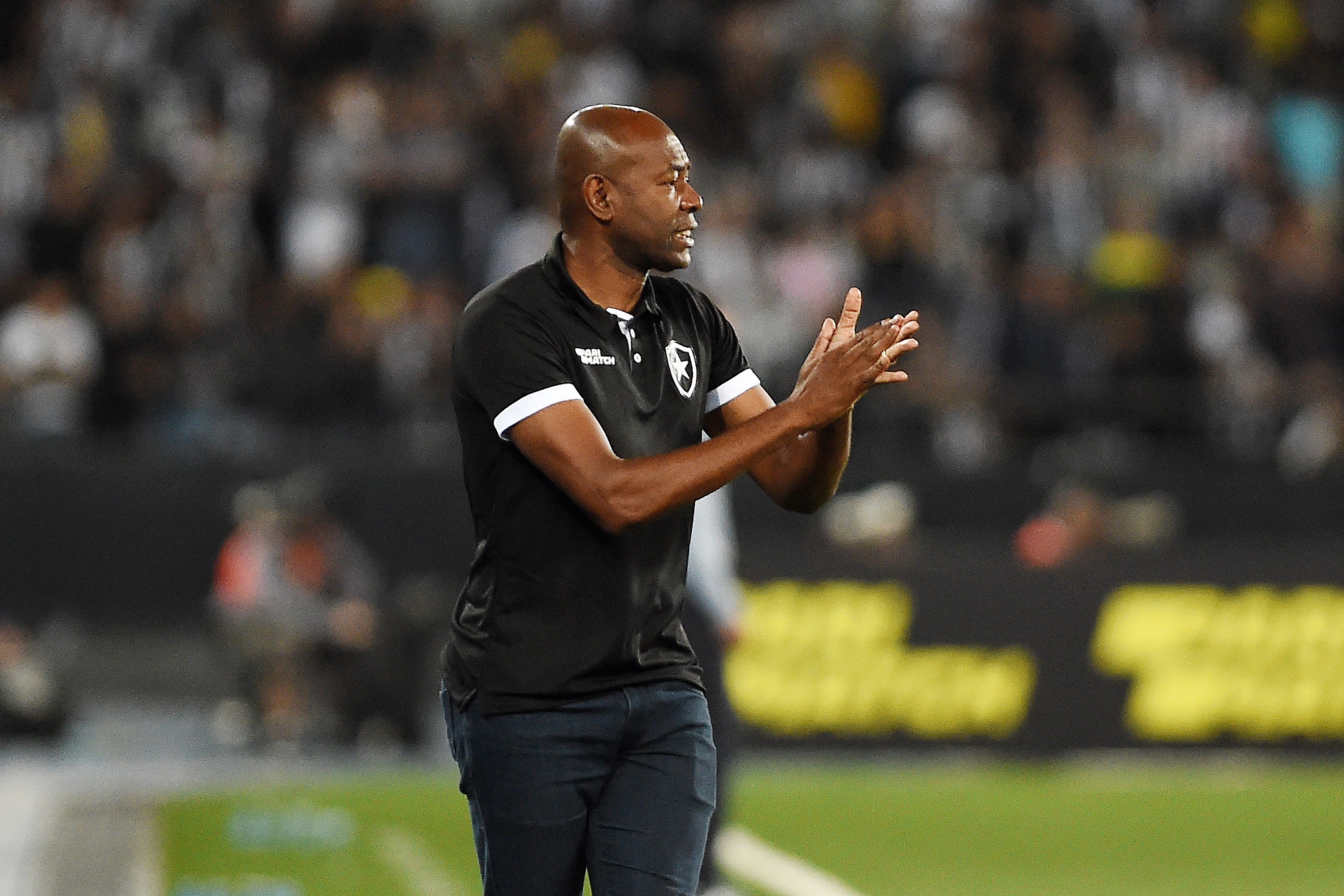 Botafogo anuncia volta de Caçapa para comandar equipe no lugar de ...