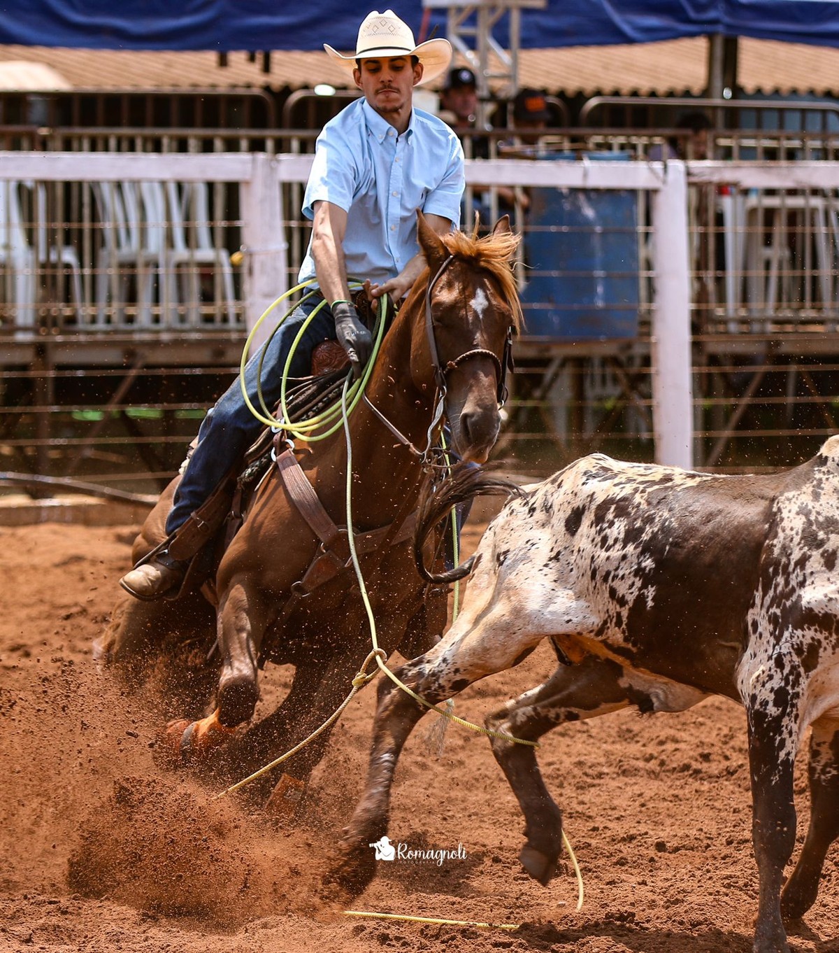 Curtinha: confira os campeões da competição de Team Roping 2022, em Rio ...