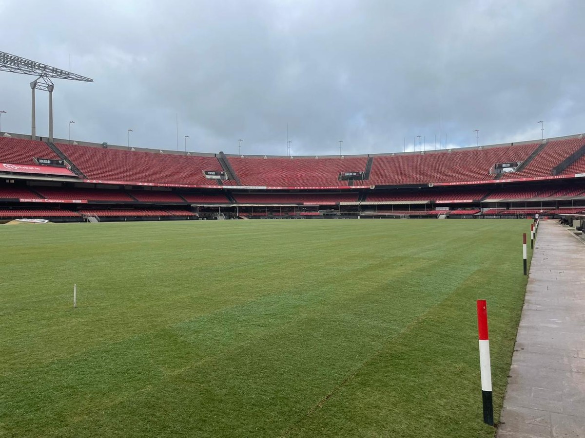 São Paulo se aproxima do fim de reforma do gramado e espera ter Morumbi ...