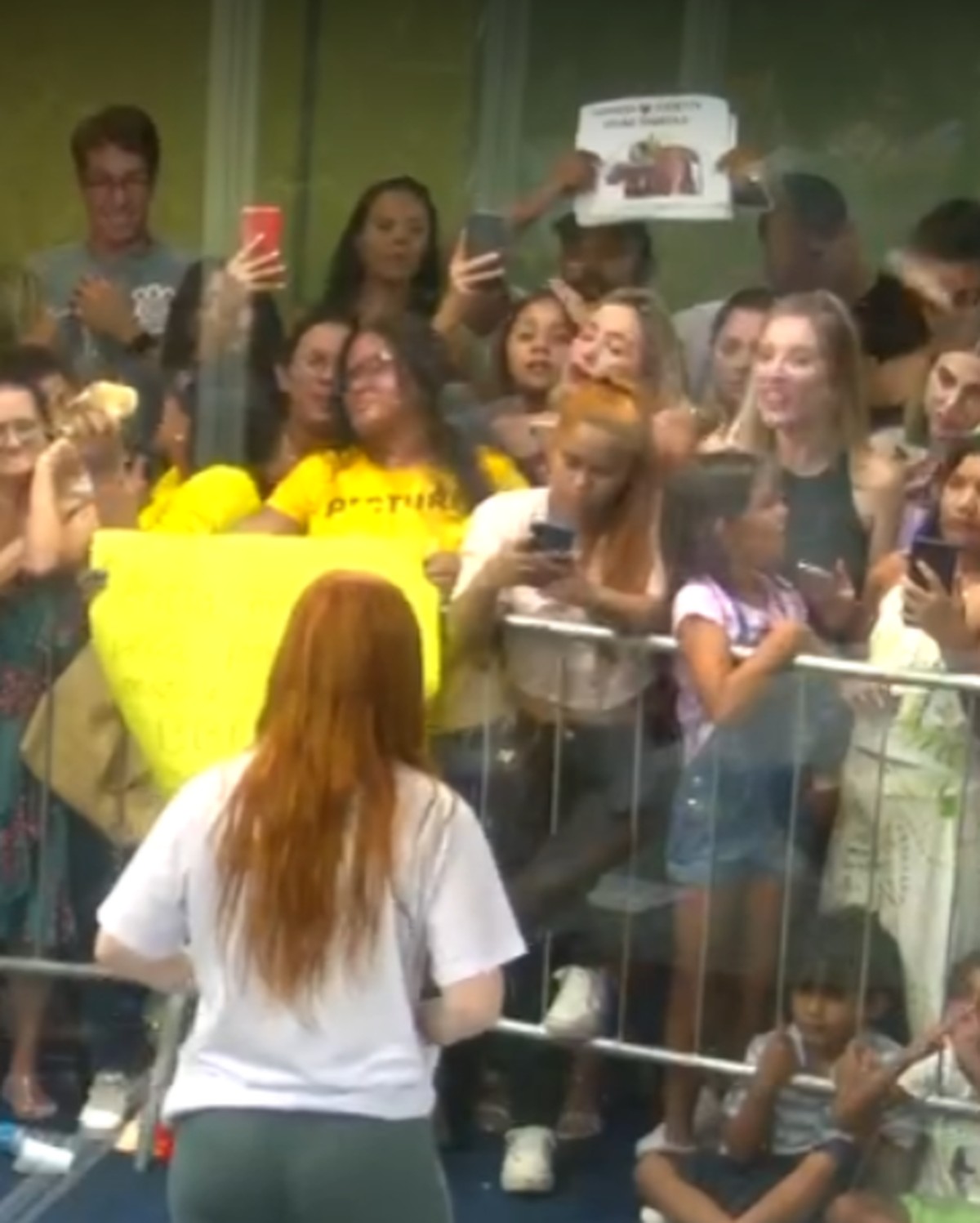 BBB 23: streamer trola participante da casa de vidro com cartazes ...