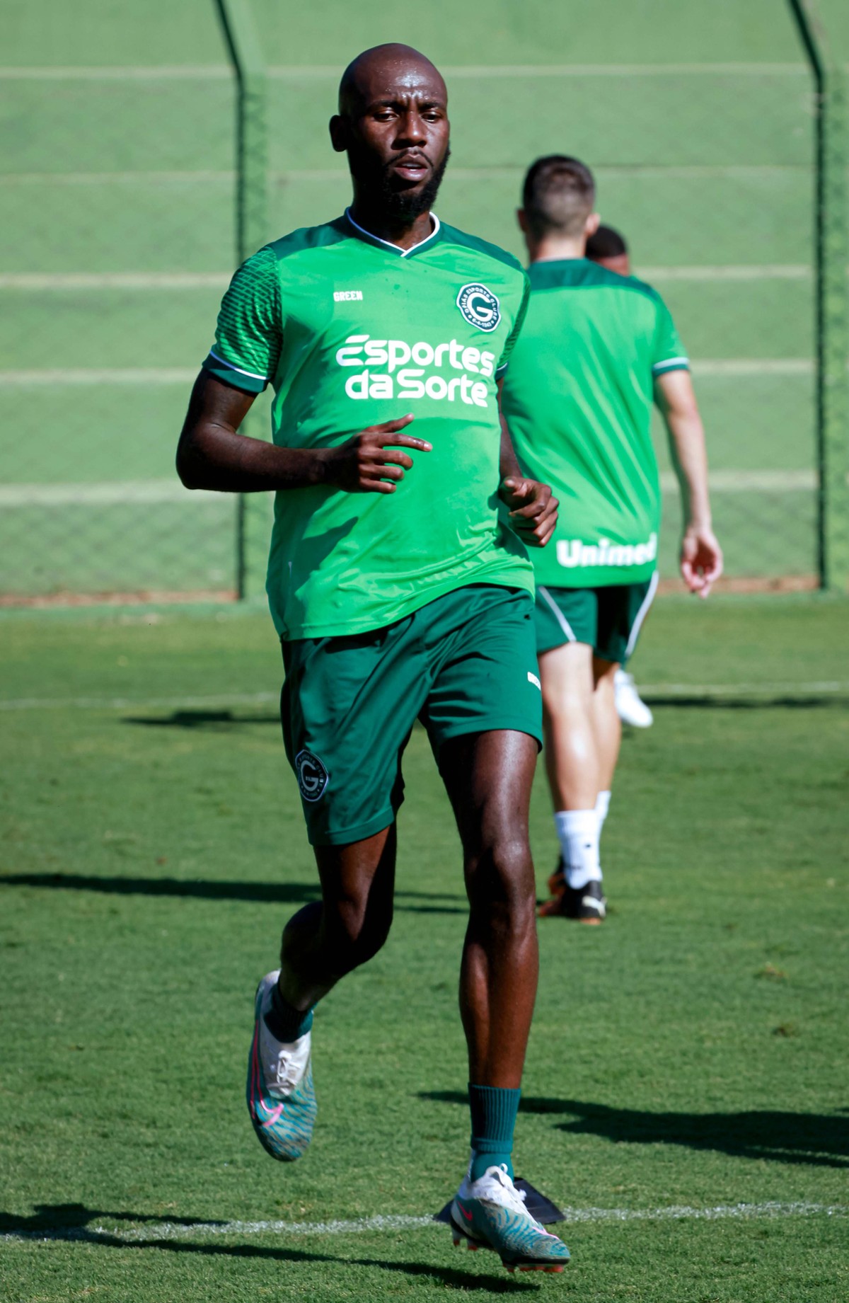 Allano é regularizado pelo Goiás | goiás | ge