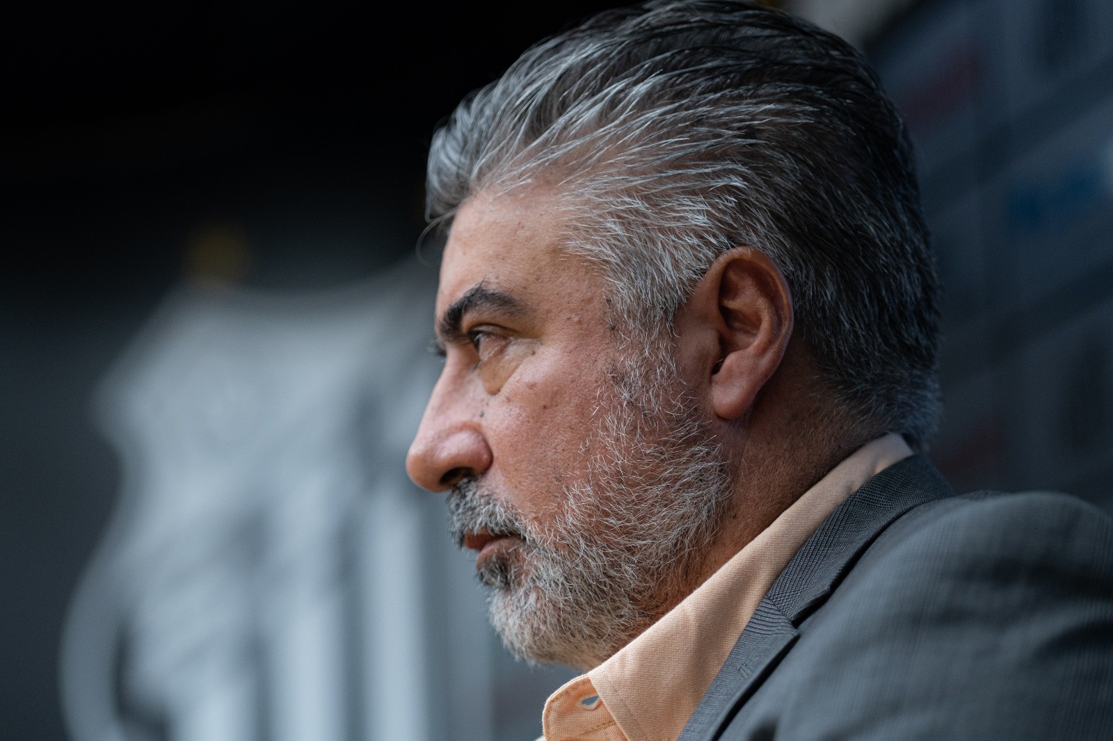 Ex-Santos, Alexandre Gallo será o novo CEO do Botafogo-PB na Era da SAF ...