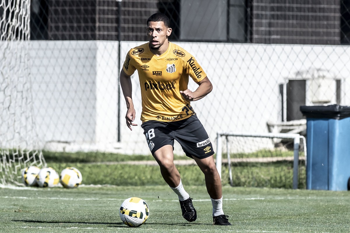Alex comemora volta ao Santos: "Muito feliz pela reestreia" | santos | ge