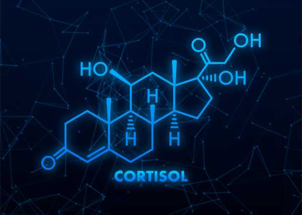 Cortisol alto: o que é e sintomas | saúde | ge