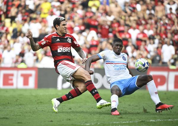 Seneme diz que árbitro acertou ao expulsar Kanu em Flamengo x Bahia ...