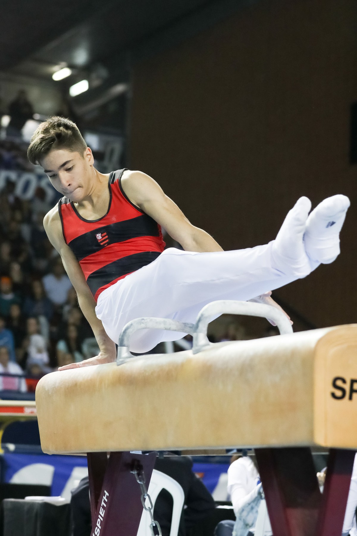 Família da ginástica: primo de Dani e Diego faz estreia entre adultos ...