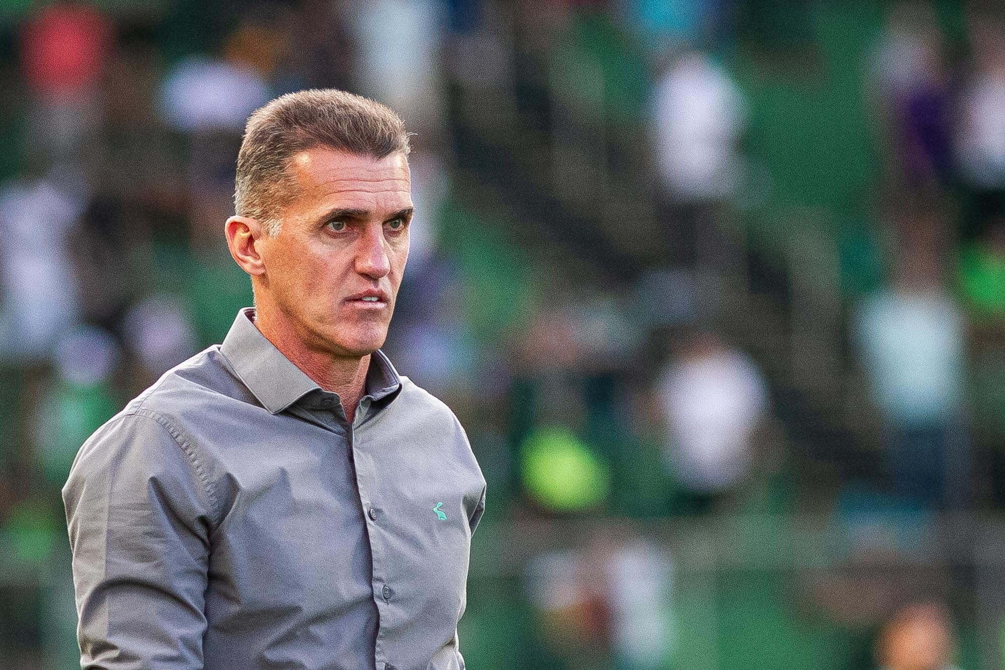 Goiás avalia contratação do técnico Vagner Mancini | Ge