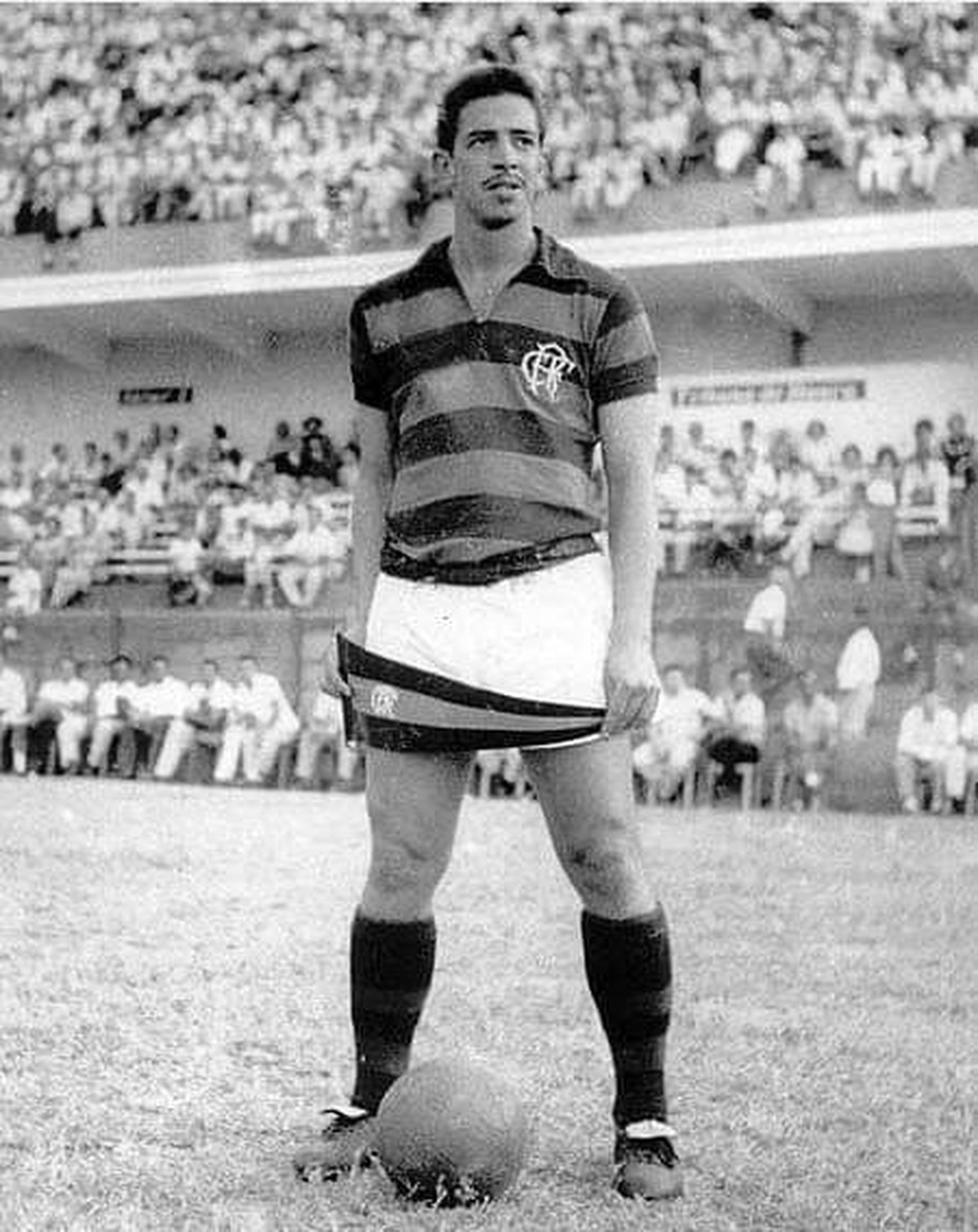 Parceiro de Dida, valente e fã de treinos: conheça Henrique, o terceiro ...