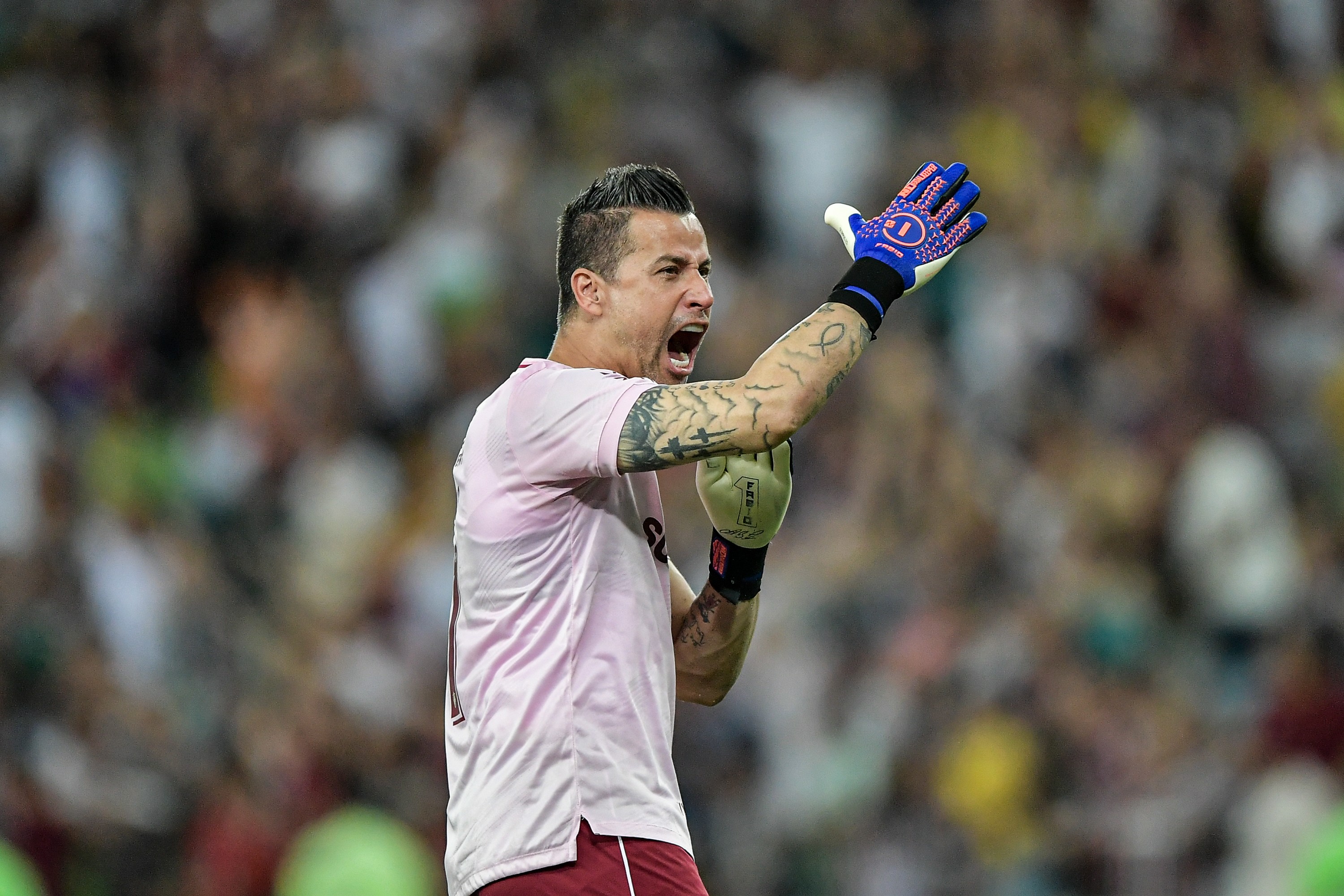 Atuações do Fluminense: Fábio joga balde de água fria com pênalti no ...