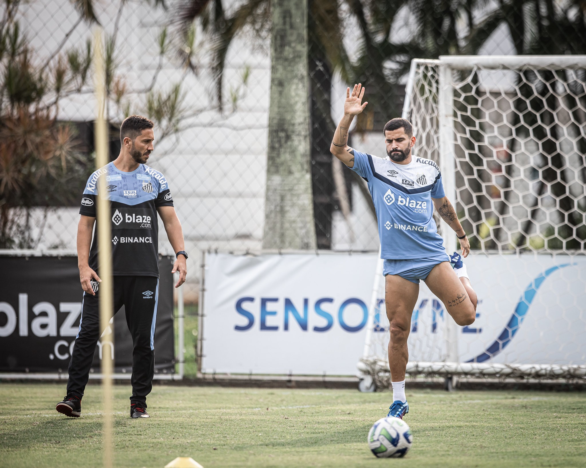 Reforços à vista? Santos conta com Tomás Rincón contra Athletico e ...
