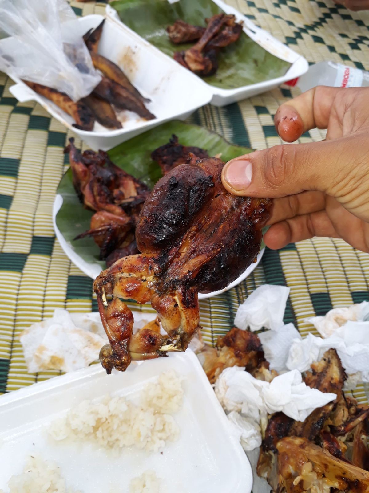 Barata frita e churrasco de sapo: meia desbrava Ásia por 10 anos e ...