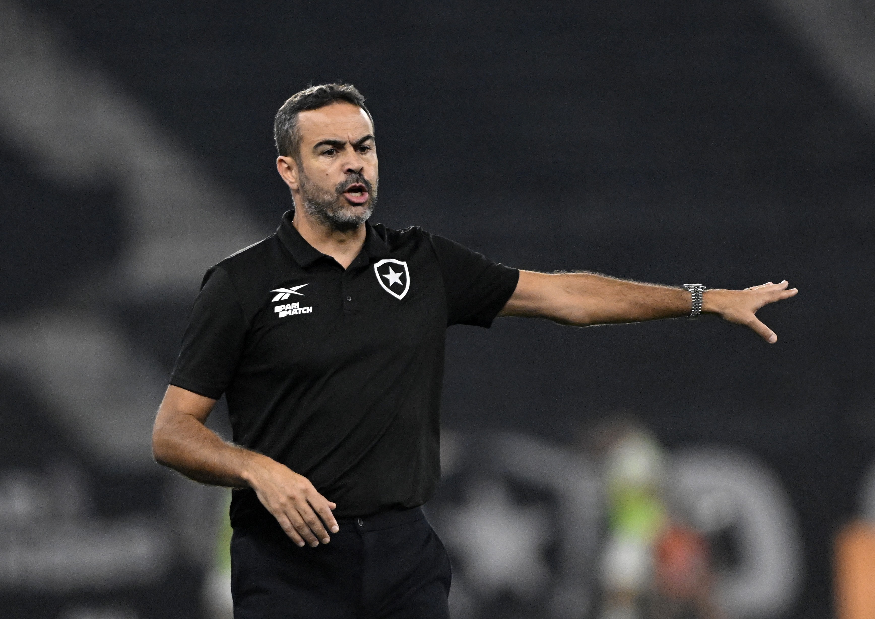 Cinco motivos para o sucesso do Botafogo no Campeonato Brasileiro | Ge