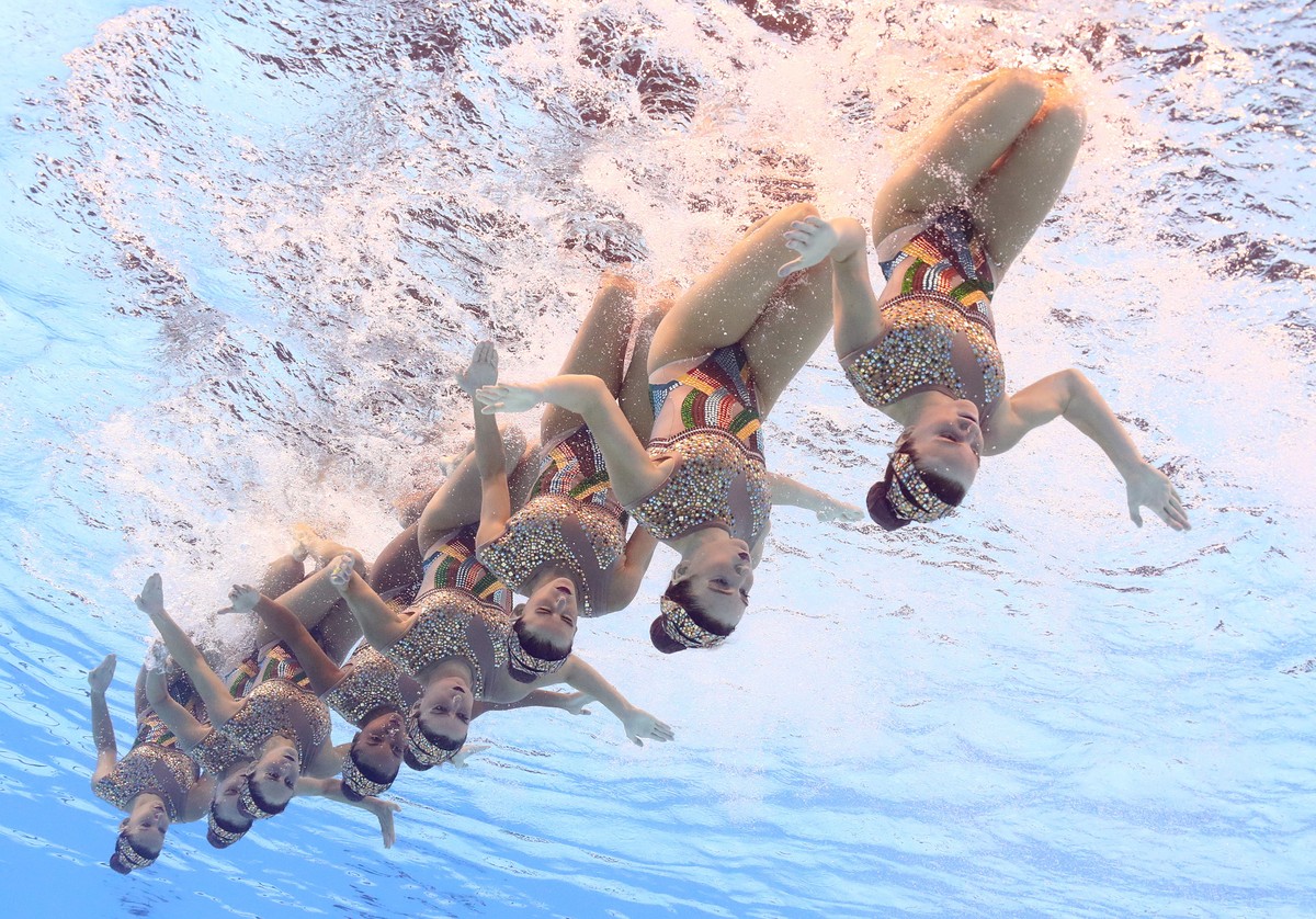 Arquitetura, estatística, odontologia...As faculdades da seleção ...
