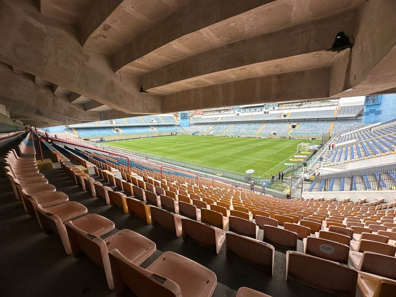 Empresa de Leila Pereira assume a gestão da Arena Barueri por 35 anos ...