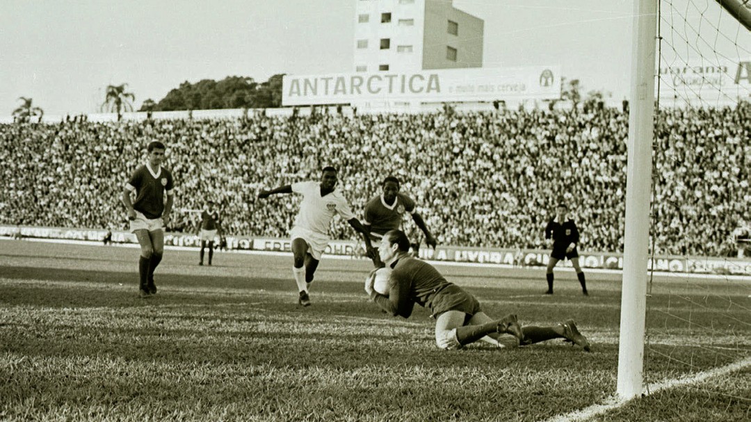 Vídeos do Santos | ge