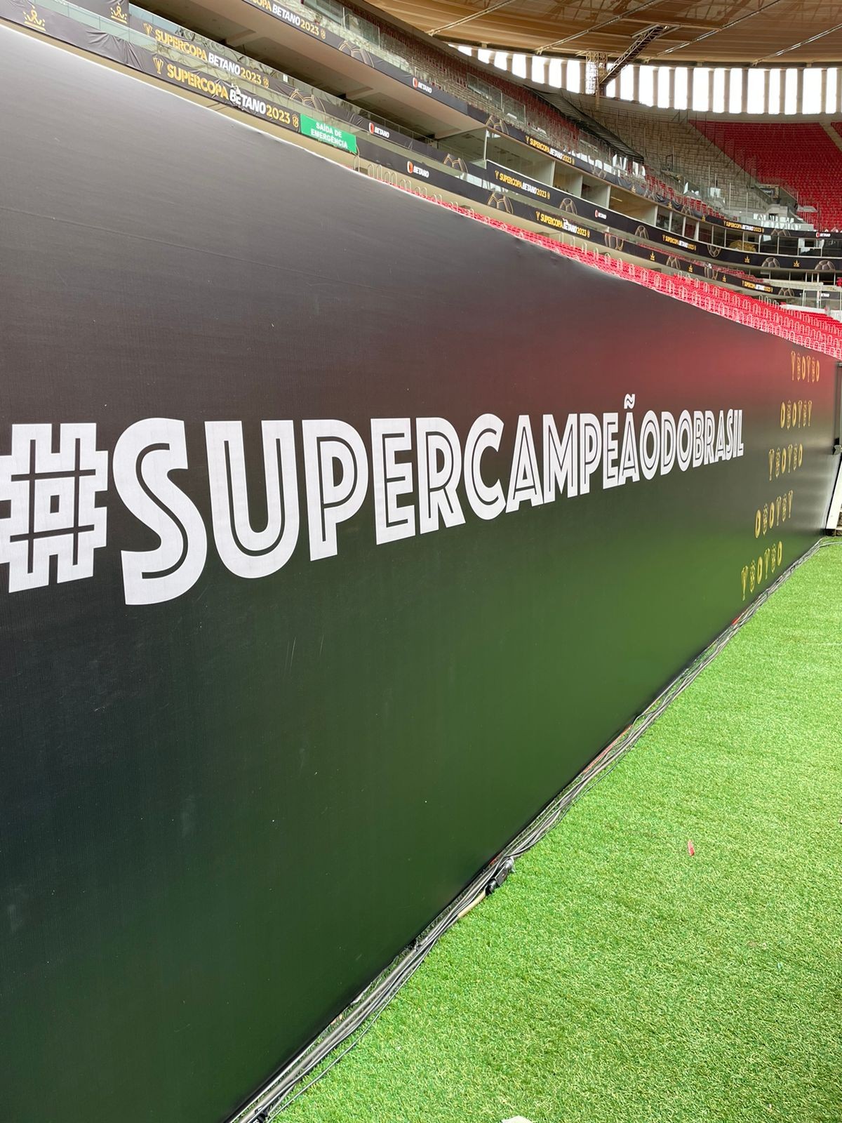 Palmeiras x Flamengo: veja como está o gramado do Mané Garrincha para final da Supercopa | Ge