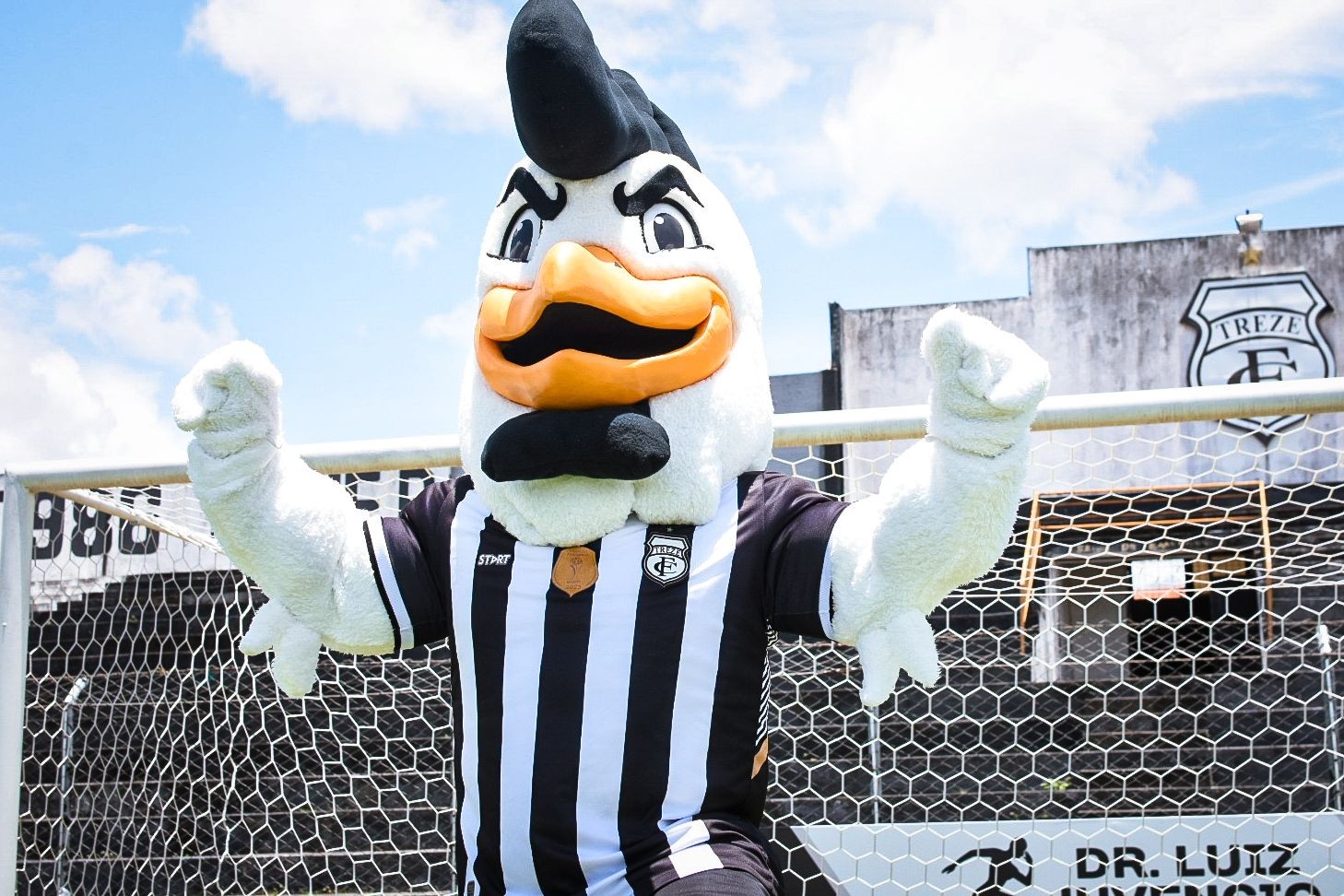 Inspirado no jogo do bicho, Treze adotou o Galo como mascote antes ...