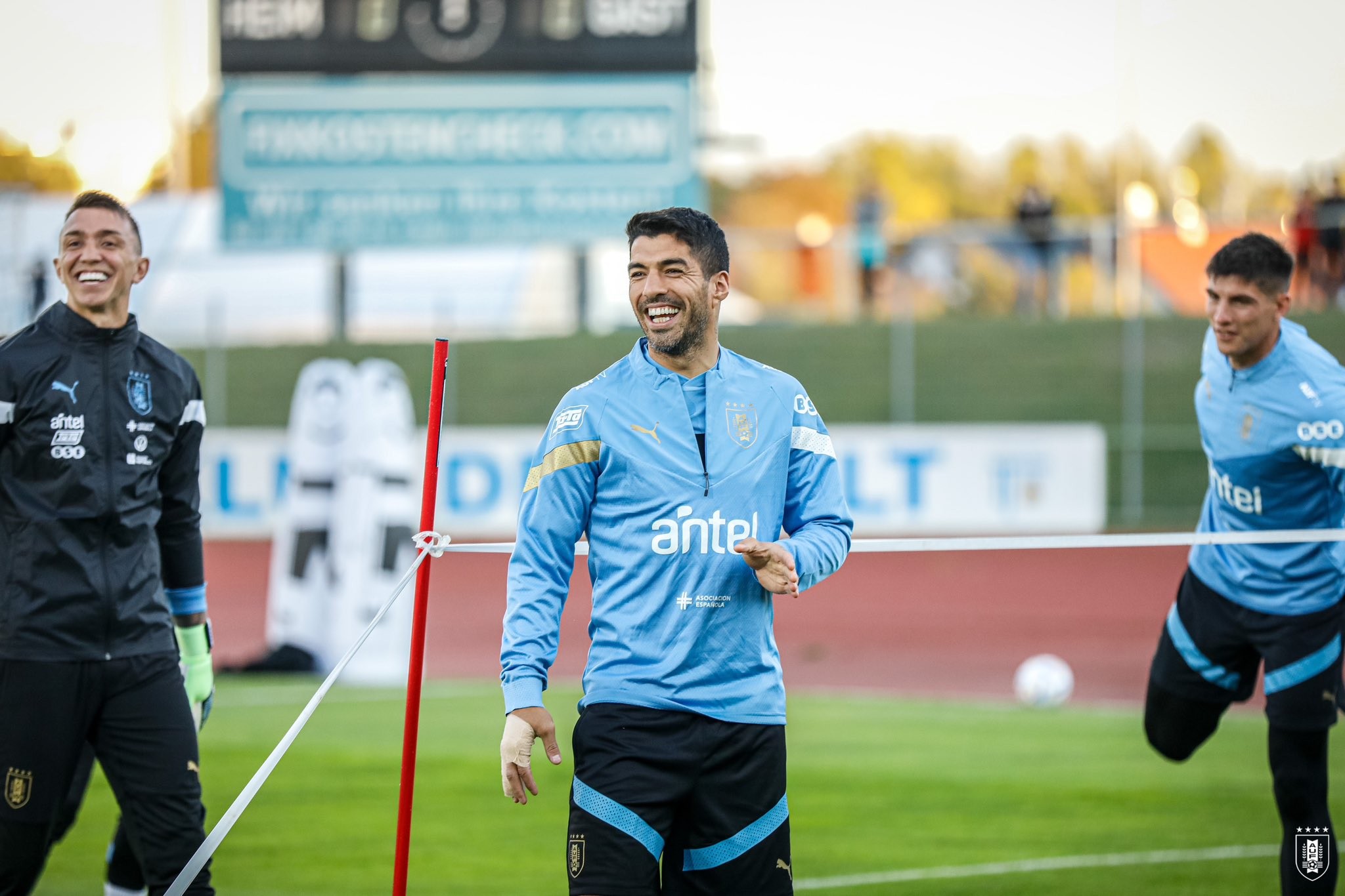 Grêmio retoma conversas com o centroavante Luis Suárez | Ge