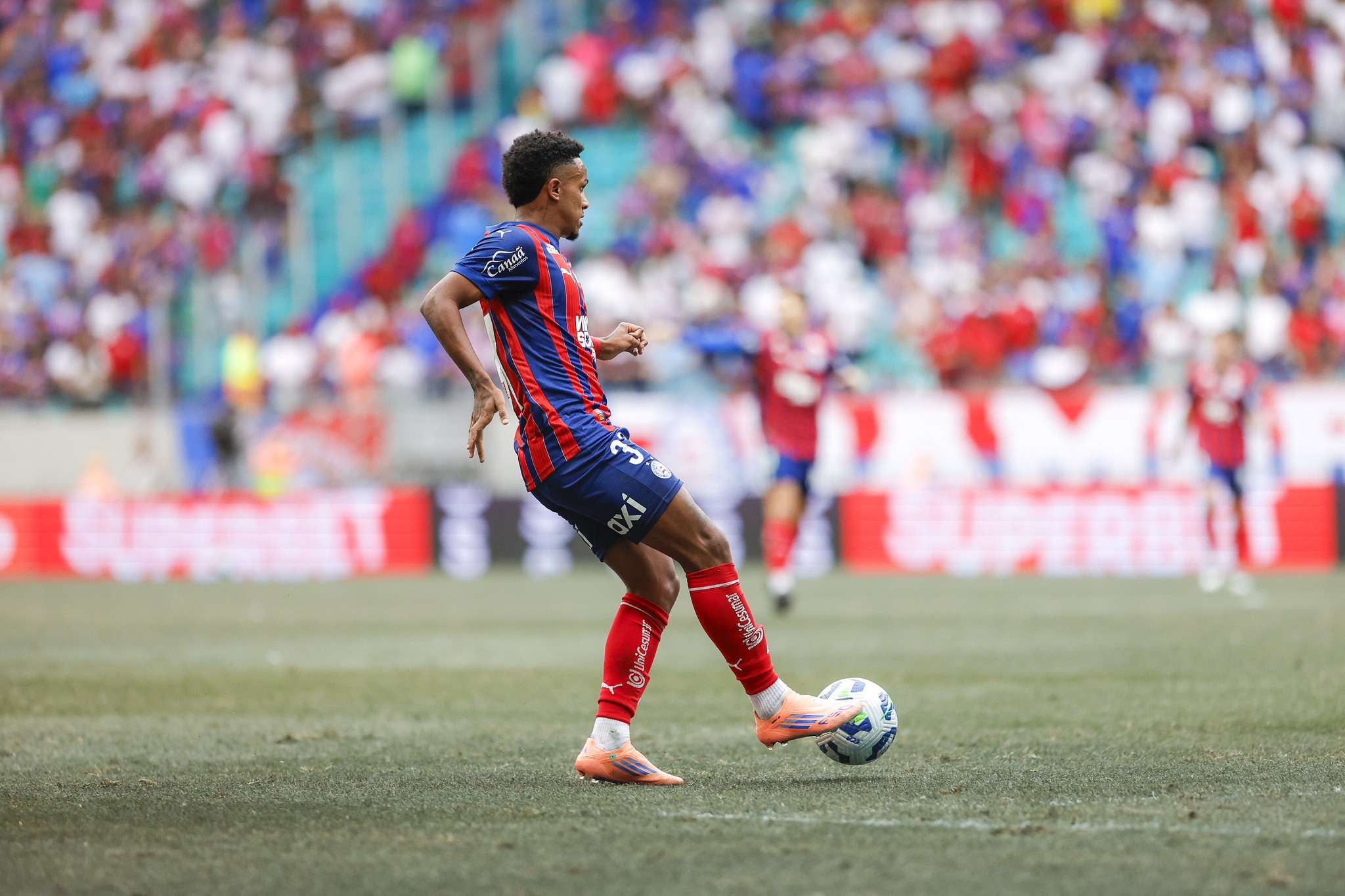 Bahia 1 x 0 Palmeiras: assista ao gol e aos melhores momentos | Ge