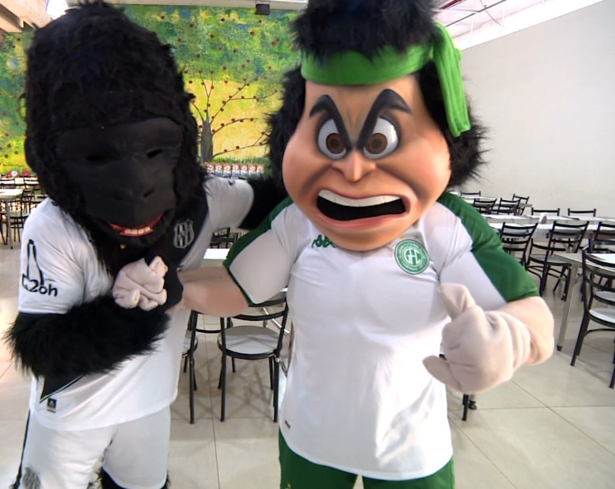 Macaca e Bugre: conheça a história dos apelidos de Ponte e Guarani ...