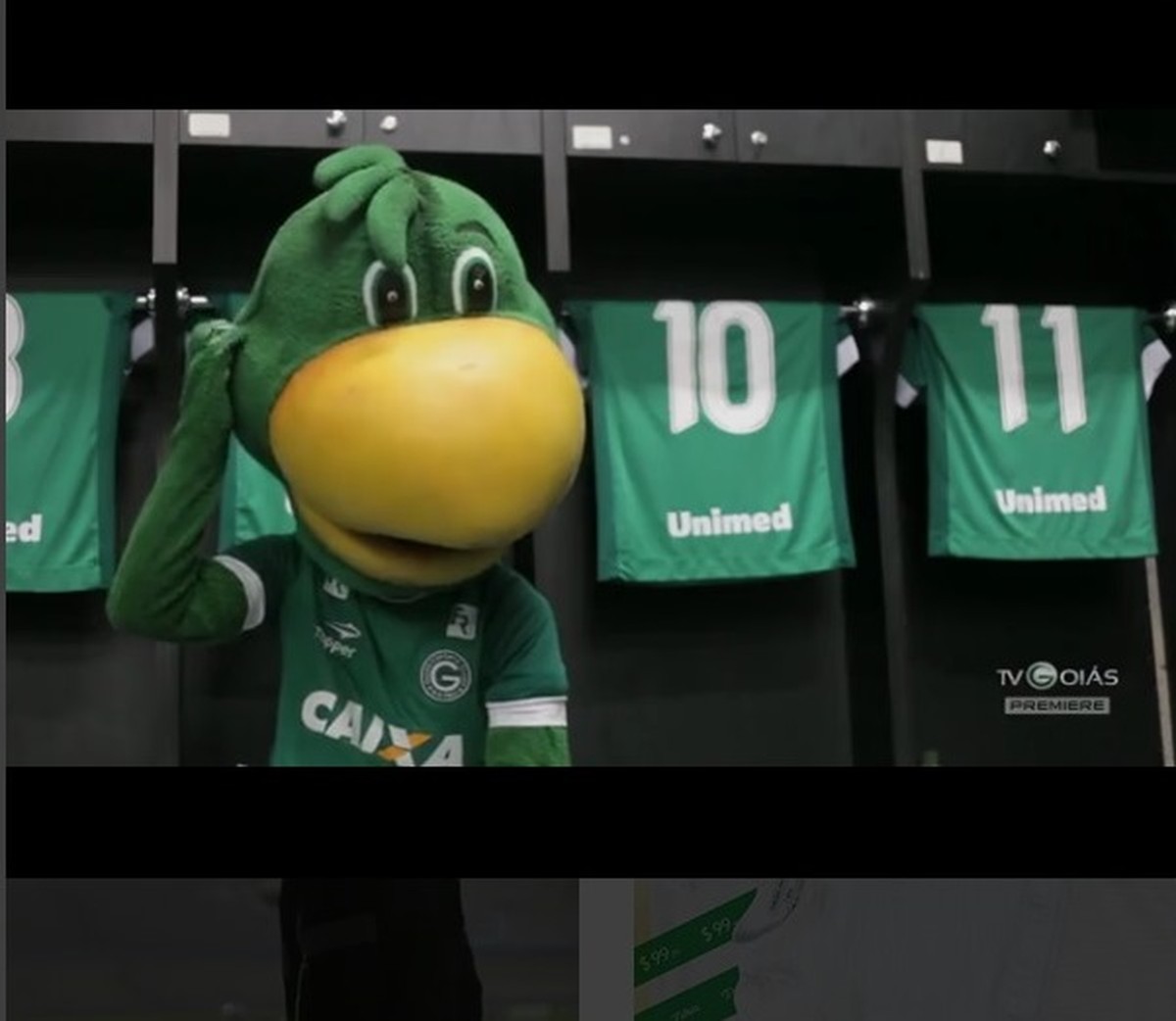 Goiás aposenta mascote e deixa torcedores curiosos na web