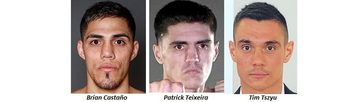 WBO analisará possibilidade de Patrick enfrentar Tszyu antes de Castaño ...