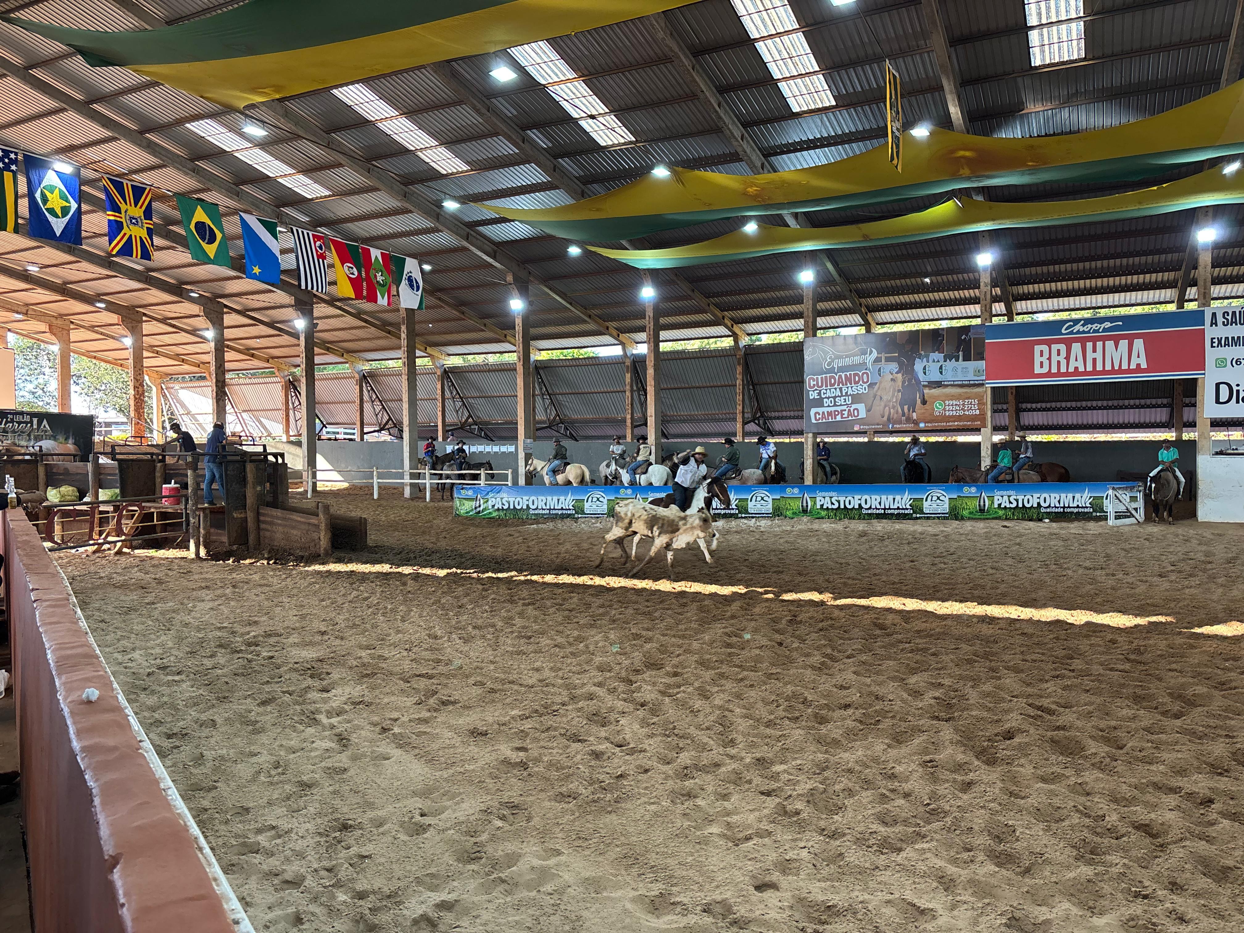 Brasileirão CLC: finais do Cavalo Pantaneiro e sorteio especial | Ge