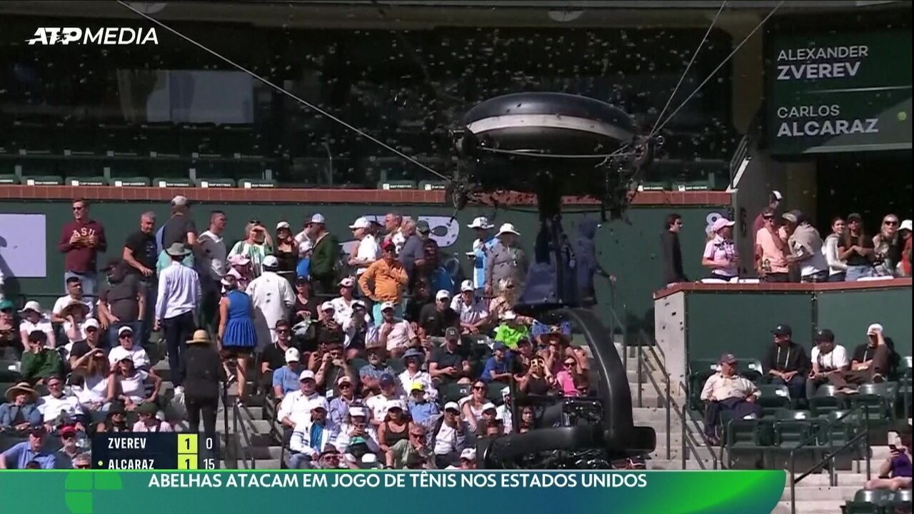 Miami Open 2024: Sunshine Double, maiores vencedores e curiosidades do ...