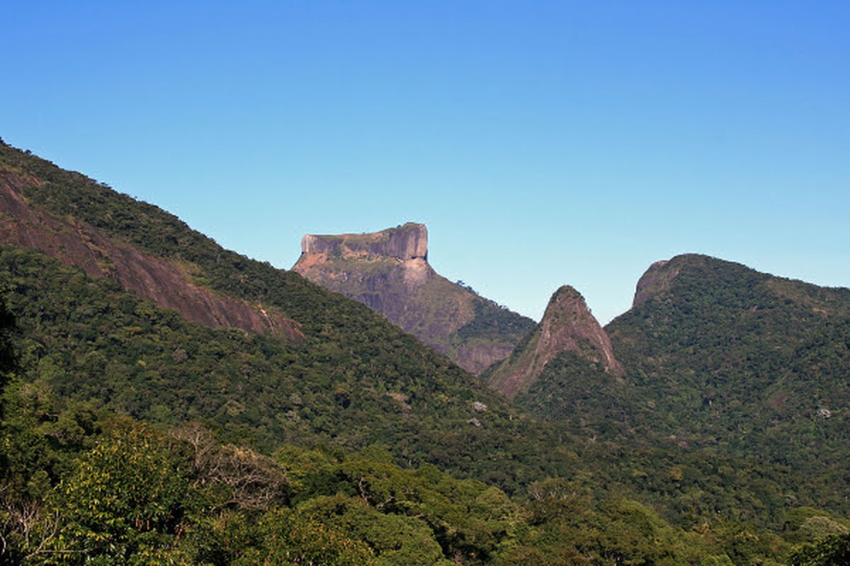 Parque Nacional da Tijuca recebe Trail Marathon, Rio de Janeiro ...