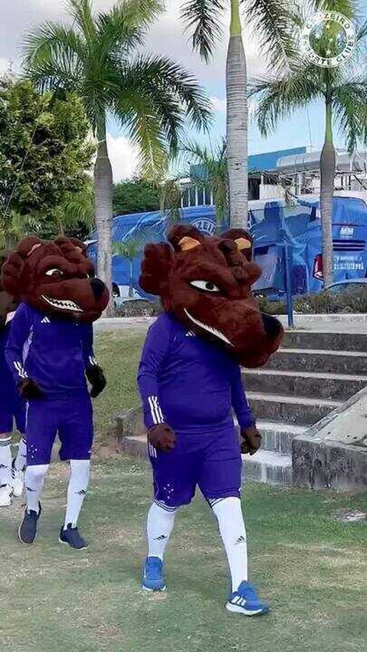Cruzeiro lança novo visual dos mascotes Raposão e Raposinho; veja ...