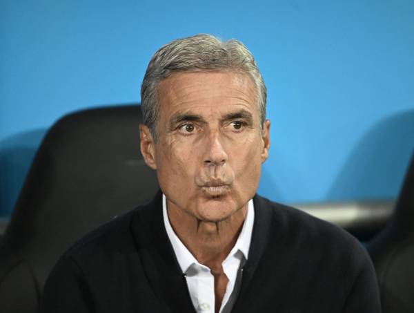 Luís Castro afirma que vaias em final de Taça Rio pesaram na saída do ...