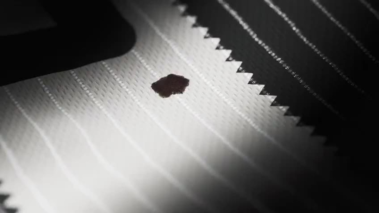 Elogiado como "melhor goleiro do mundo", Lucas Perri ainda pode render ...