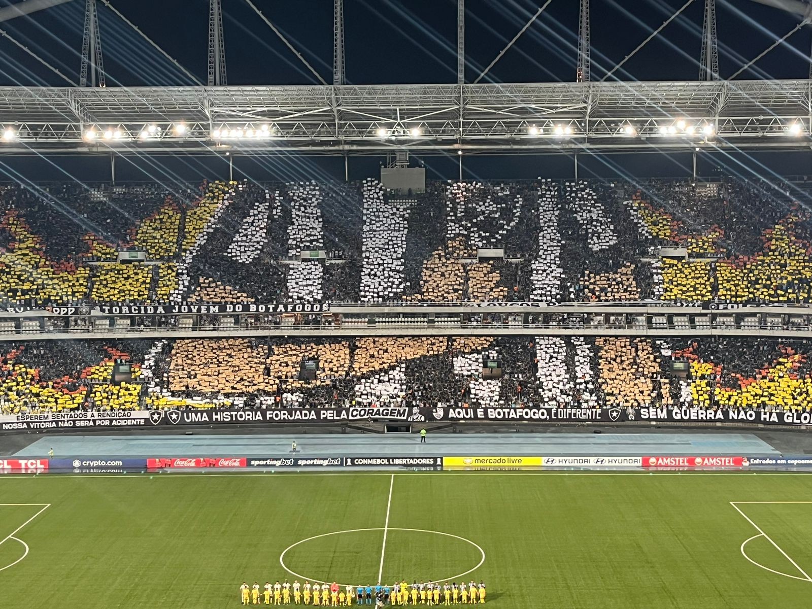 Mosaico da torcida do Botafogo viraliza com primeiro personagem humano ...