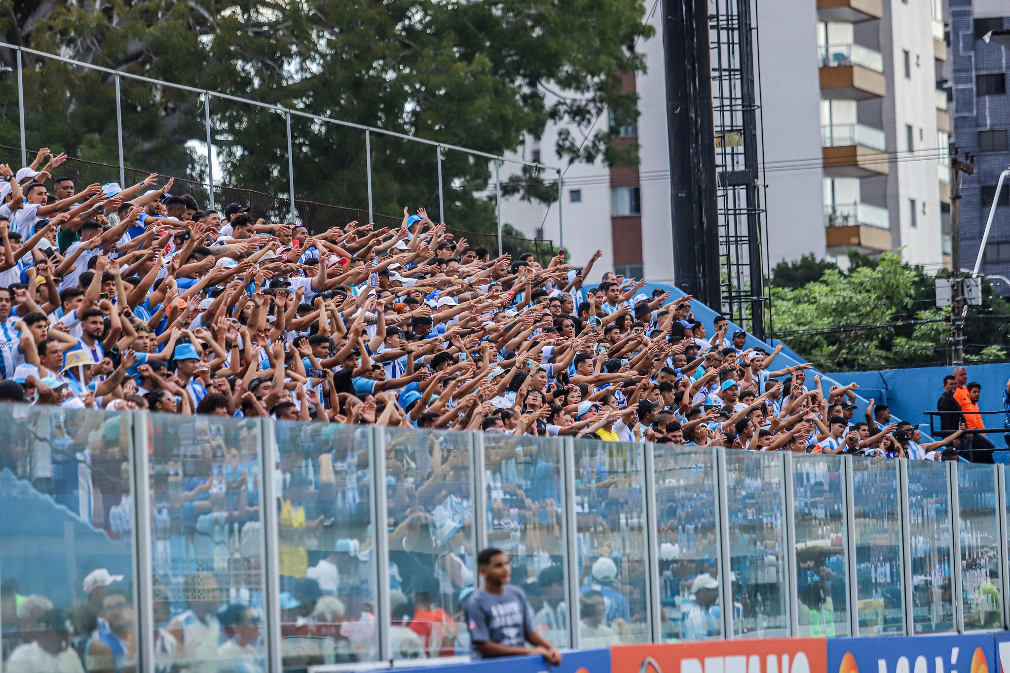 Paysandu lança novo programa de sócio-torcedor; confira planos e ...