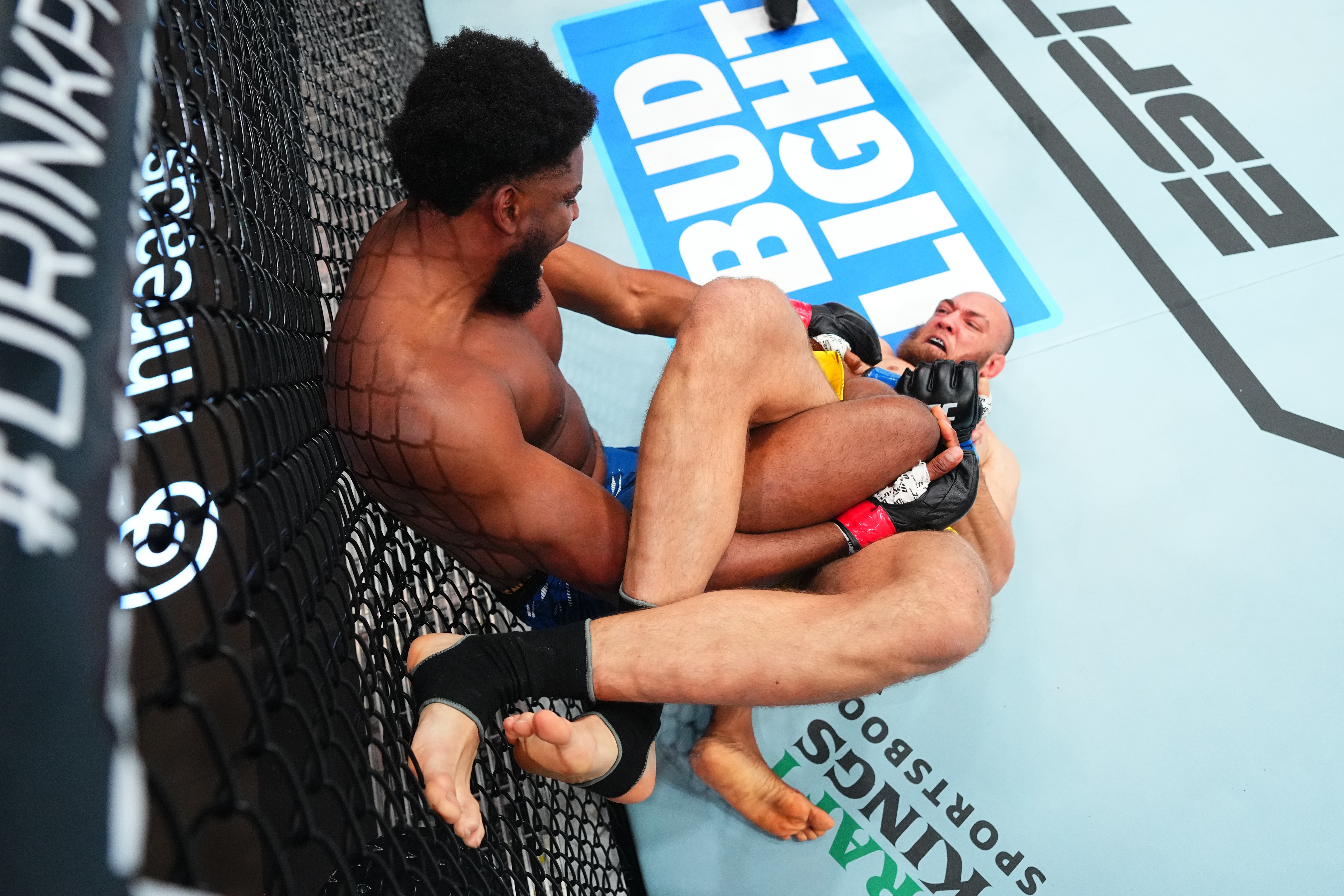 UFC: Valter Walker fatura bônus de R$ 278 mil após vitória | Ge