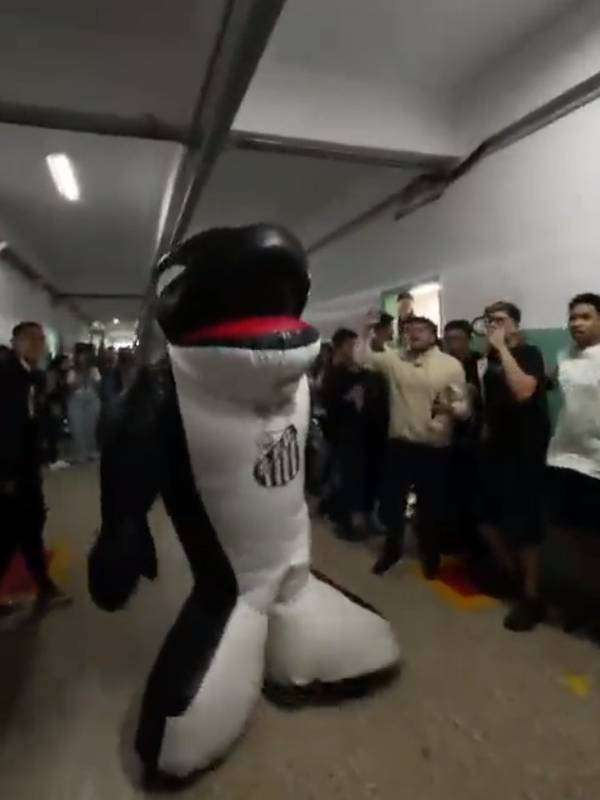 Rodinha punk, provocação a rival e festa: mascotes do Santos viram ...