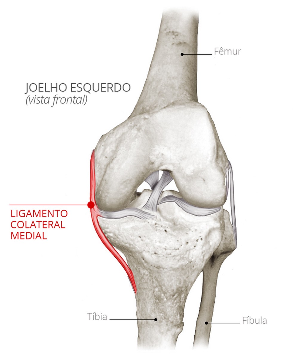 Ligamento Colateral Medial Do Joelho Clnica Do Joelho