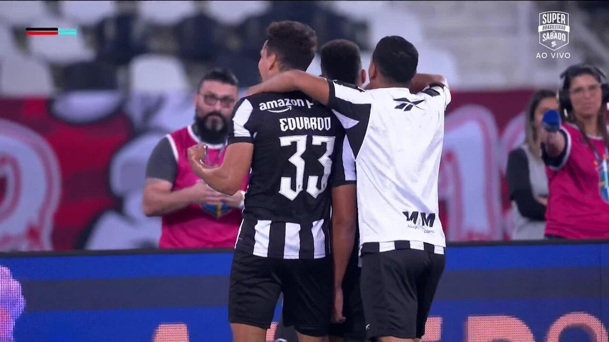 Análise: Botafogo fecha primeiro turno do Brasileiro dando recado para ...