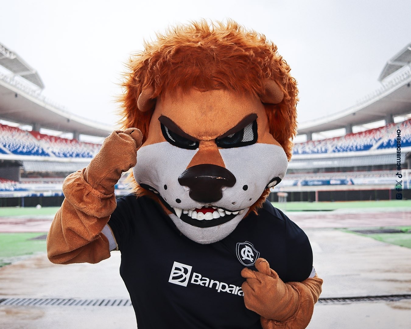 Remo é o primeiro clube paraense a vencer no Brasileirão 2024